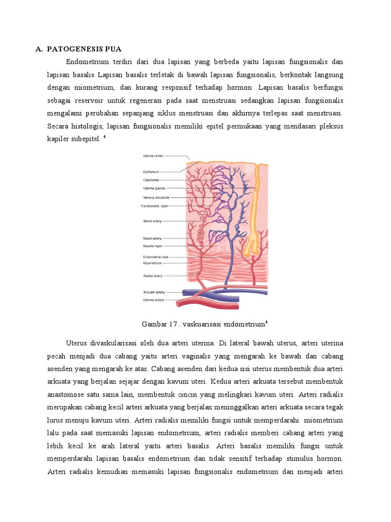Patogenesis PUA | PDF