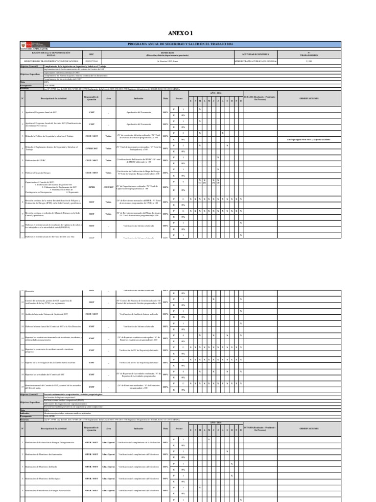 Programa Anual de Seguridad y Salud en El Trabajo Ministerio Peru | PDF | Seguridad y salud ...