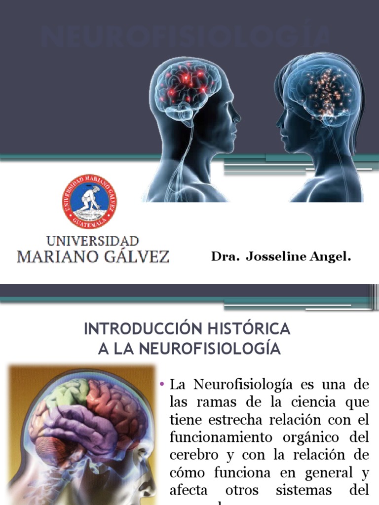 Clase de Neurofisiologia 1 | Descargar gratis PDF | Neurona | Potencial ...