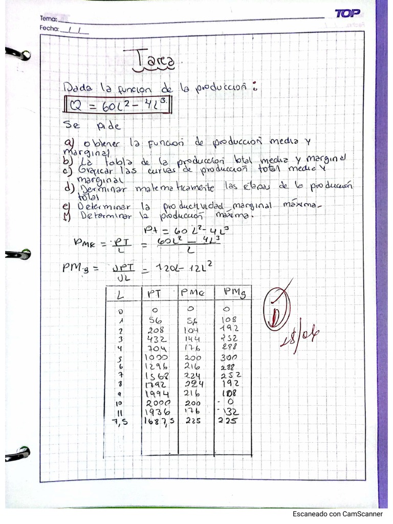 Práctica Teoría de La Producción Mary Jane Ramirez Morales | PDF