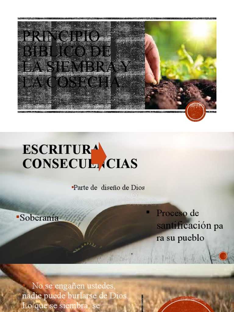 Siembra y Cosecha | PDF | Dios | Creencia religiosa y doctrina