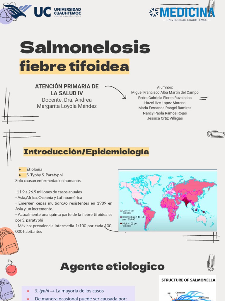 Fiebre Tifoidea | PDF | Salmonela | Microbiología