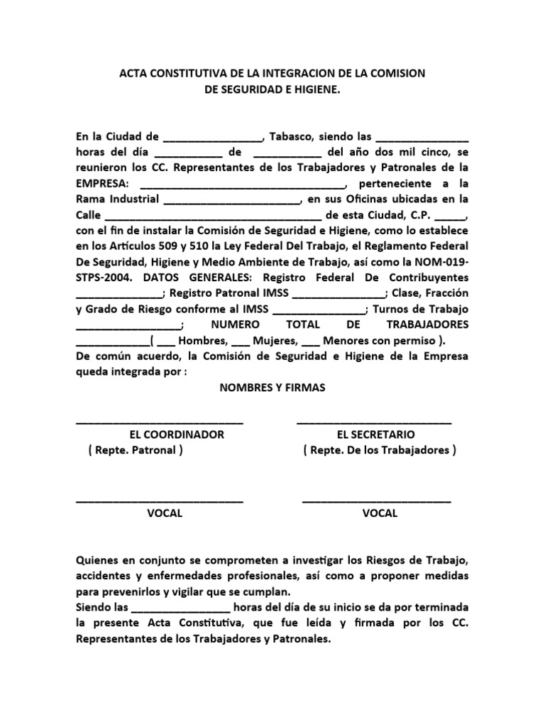 Acta Constitutiva Csh | PDF