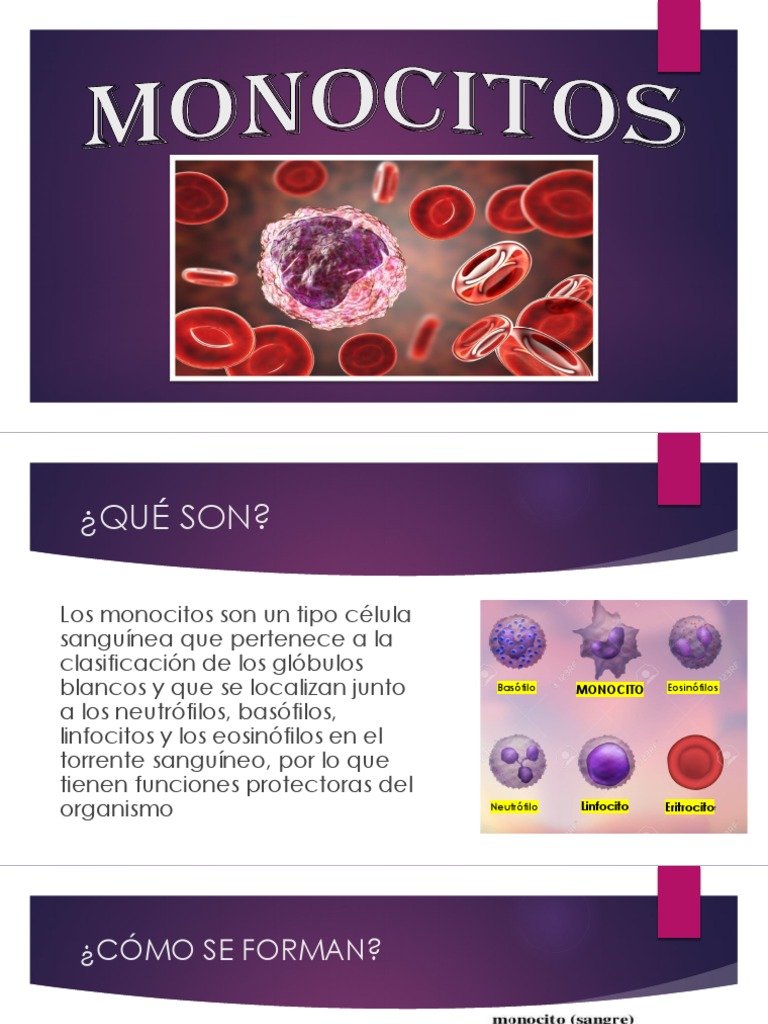 MONOCITOS | PDF