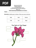 Grade 3 Project Anall Numerates | PDF