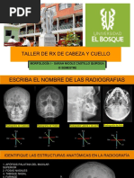 Proyecciones RX de Oído y Mastoides | PDF | Oído | Otología