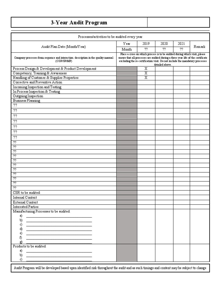 3-Year Audit Program | PDF