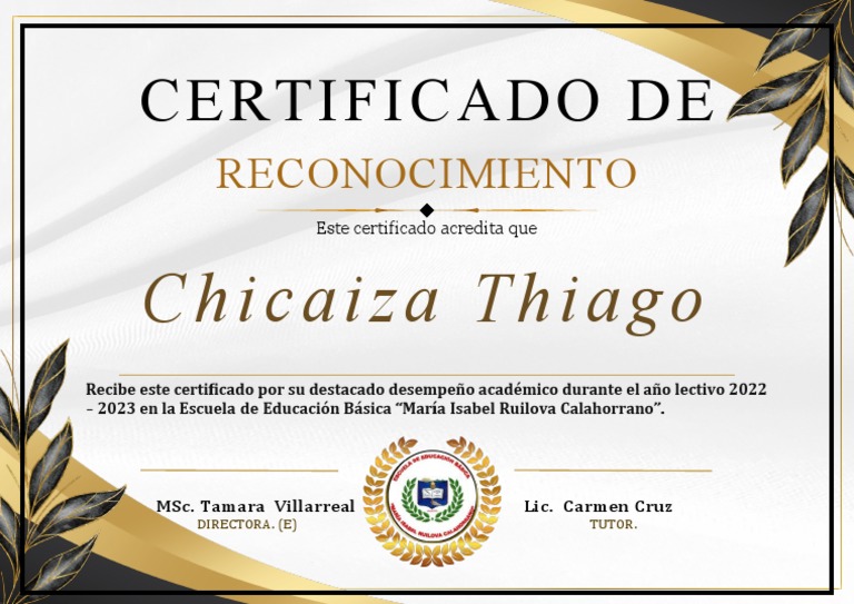 certificado reconocimiento | PDF