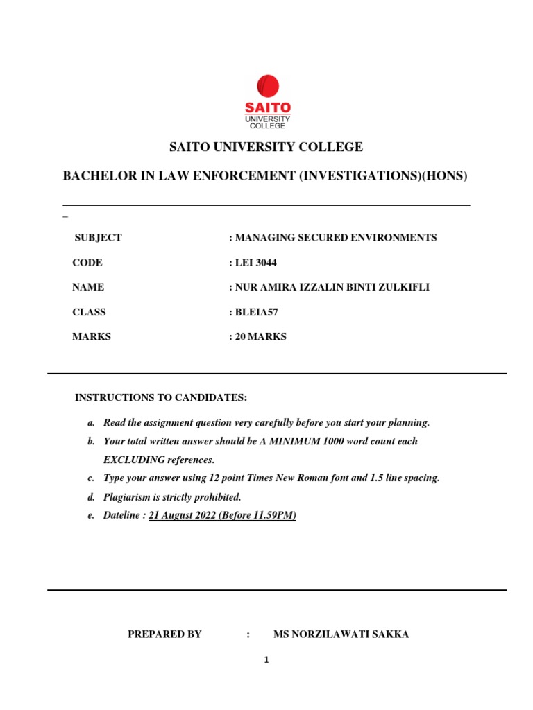 Mse Individual | PDF | Computer Security | Security