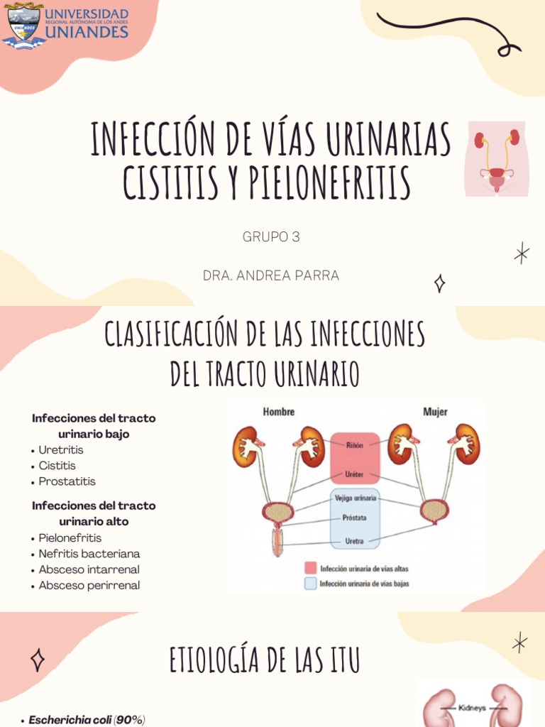 Cistitis y Pielonefritis | PDF | Infección del tracto urinario | Vejiga ...