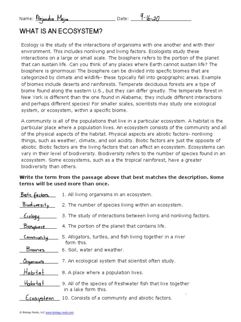3a. What Is An Ecosystem-1 | PDF | Ecosystem | Ecology