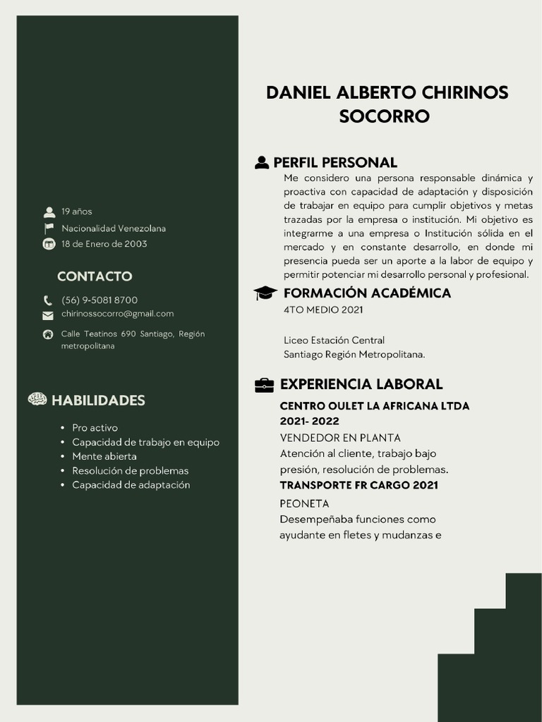 Curriculum Daniel | PDF