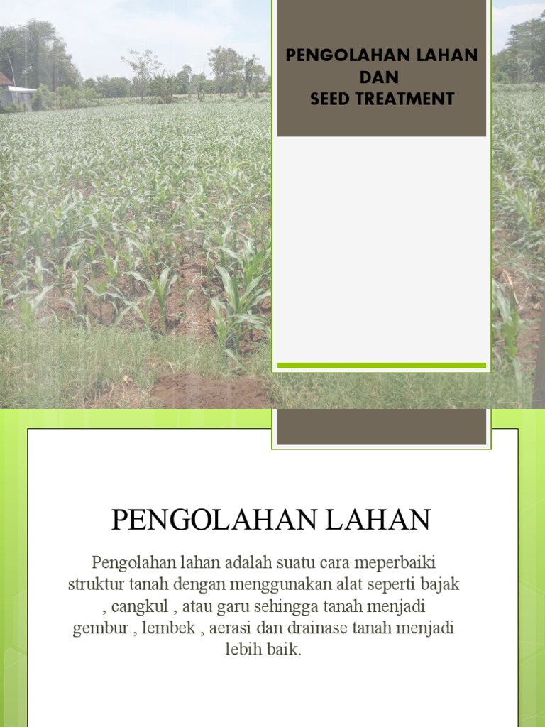 Pengolahan Lahan Budidaya Jagung | PDF
