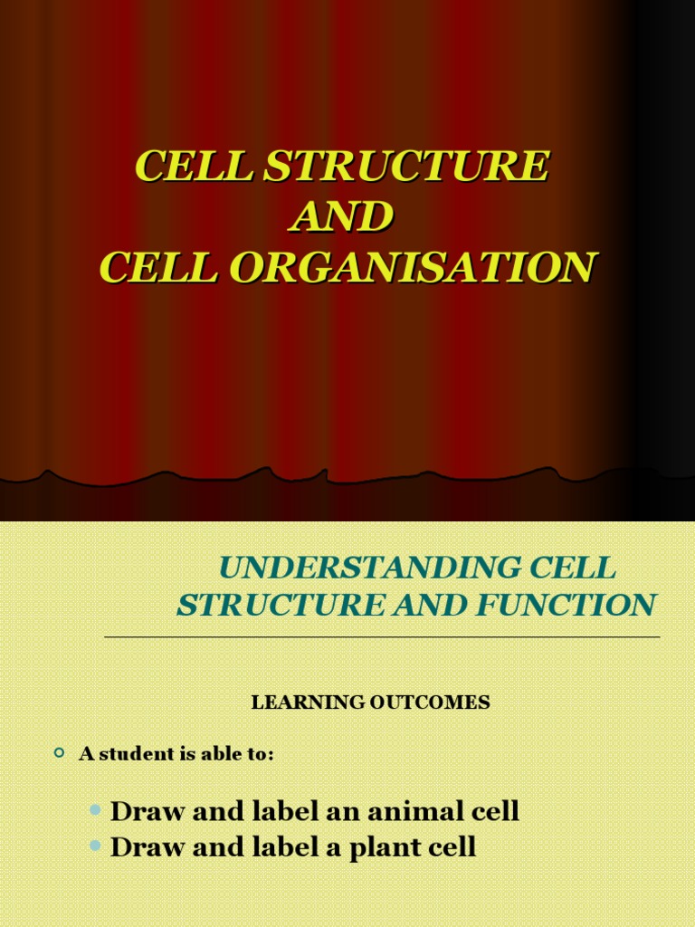 1 1 Cell Structure Pdf