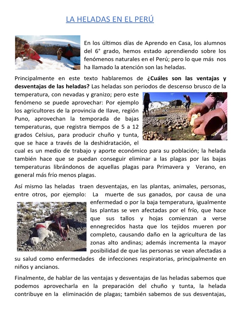 Ventajas y desventajas de las heladas en Perú | PDF | Agricultura ...