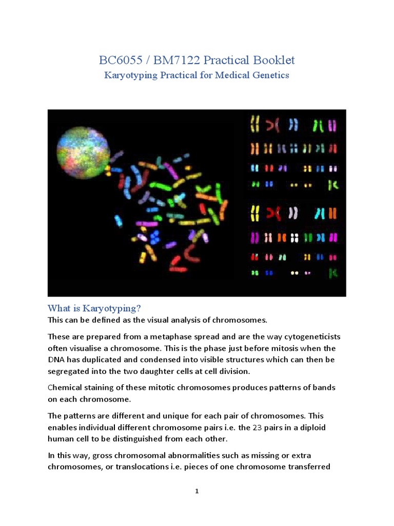 Karyotyping Techniques for Genetic Analysis | PDF | Chromosome | Cytogenetics