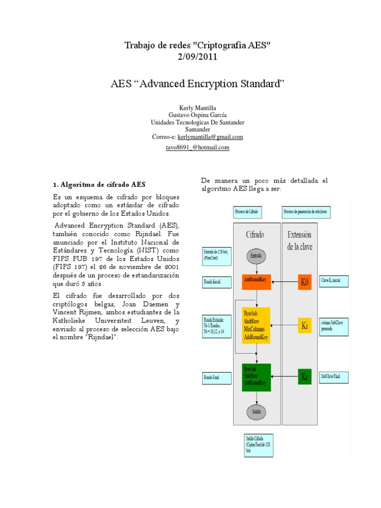 Algoritmo de Cifrado AES: Guía Completa | PDF | Criptografía | Áreas de informática