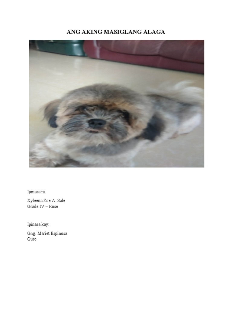 Ang Pangalan NG Aking Alagang Aso Ay Si COOKIE | PDF