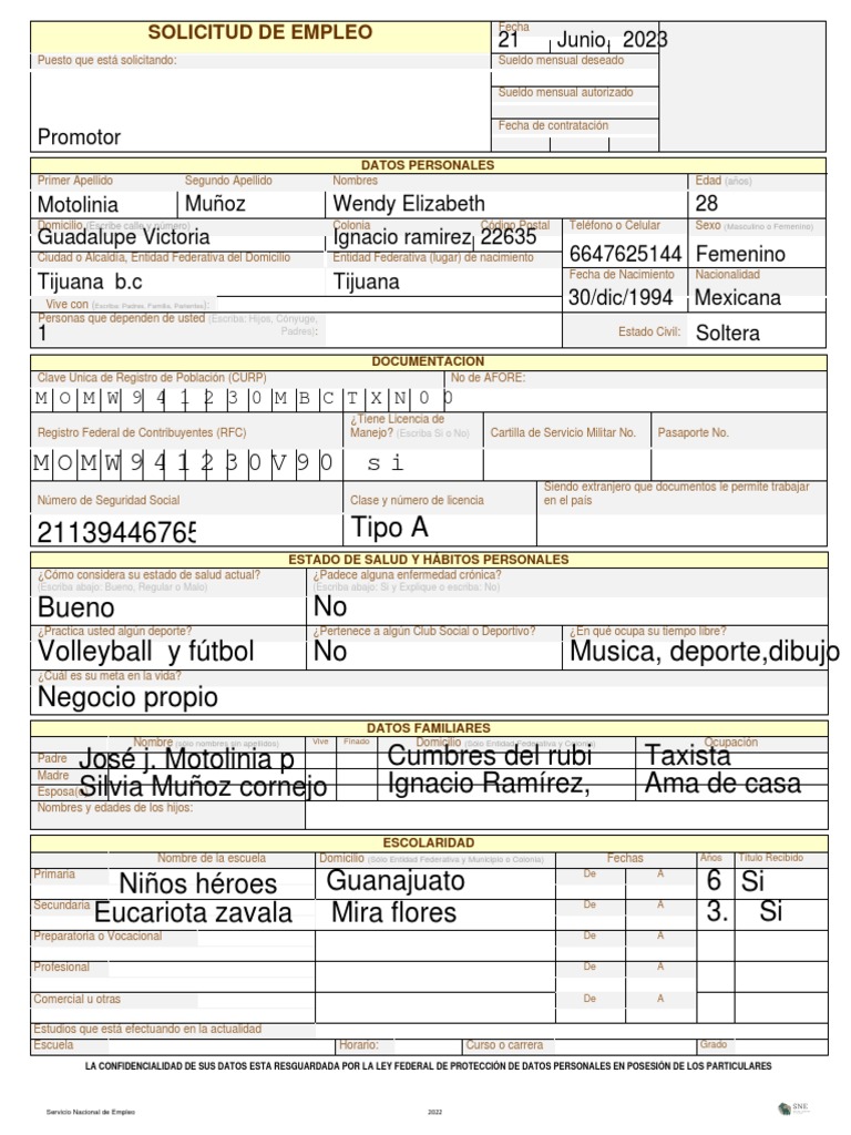 Sne Solicitud de Empleo Plantilla PDF | PDF