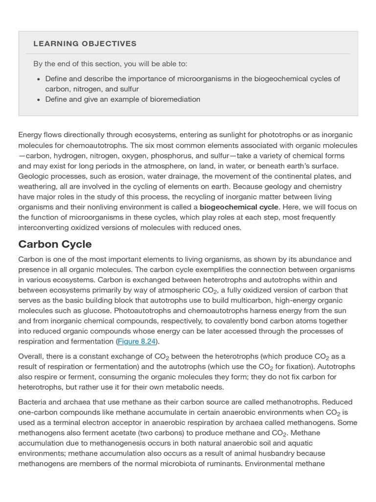 8.7 Biogeochemical Cycles - Microbiology - OpenStax | Download Free PDF ...