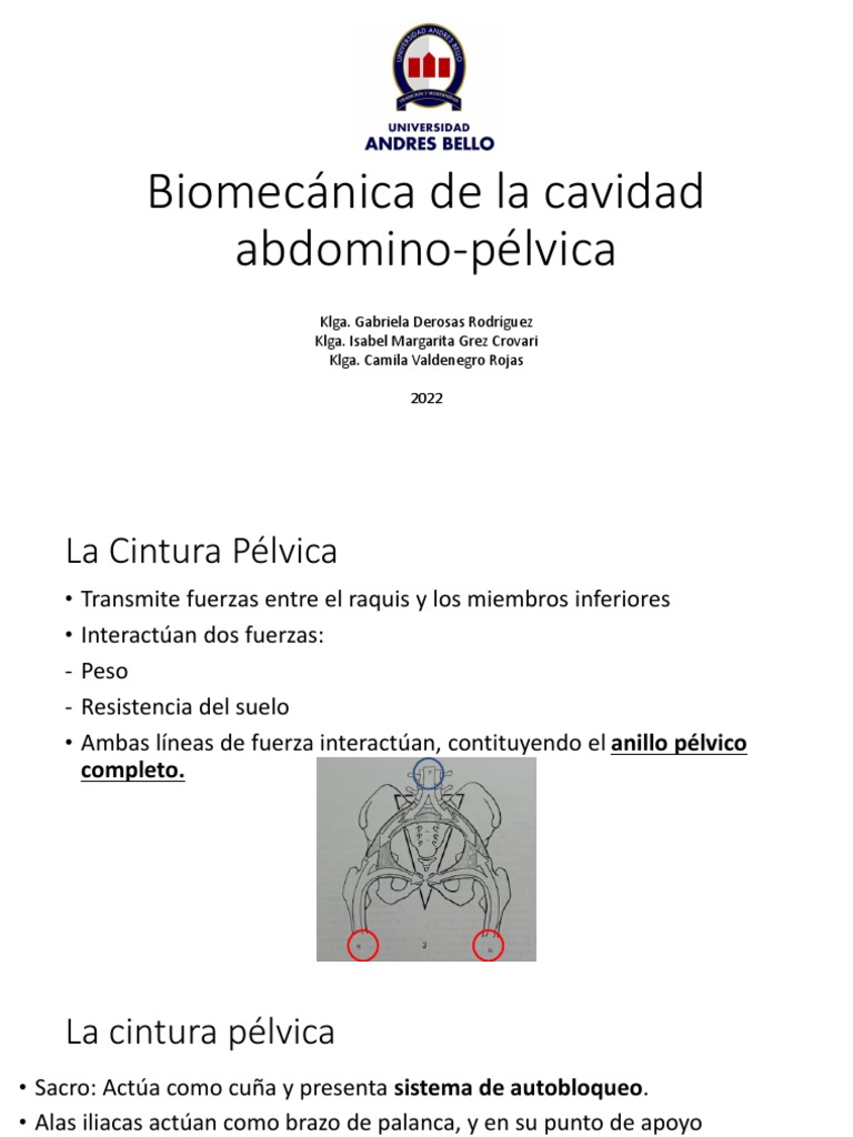 3biomecánica de La Cavidad Abdomino-Pélvica | PDF | Pelvis | Abdomen