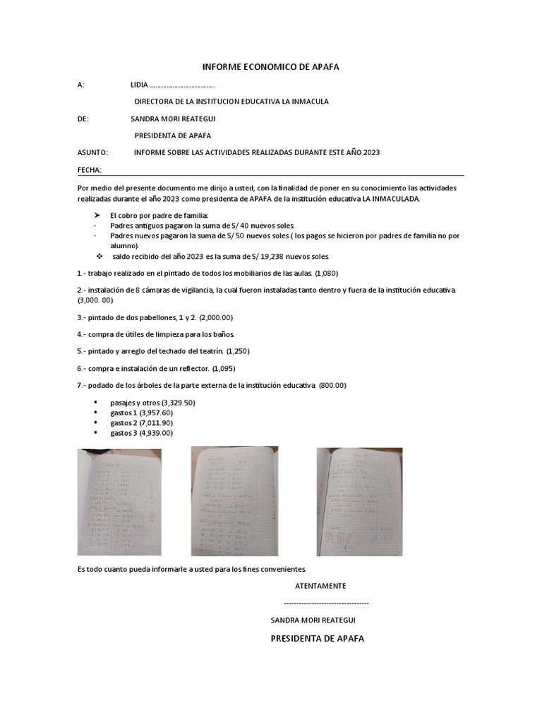 Informe Economico de Apafa 2 | PDF