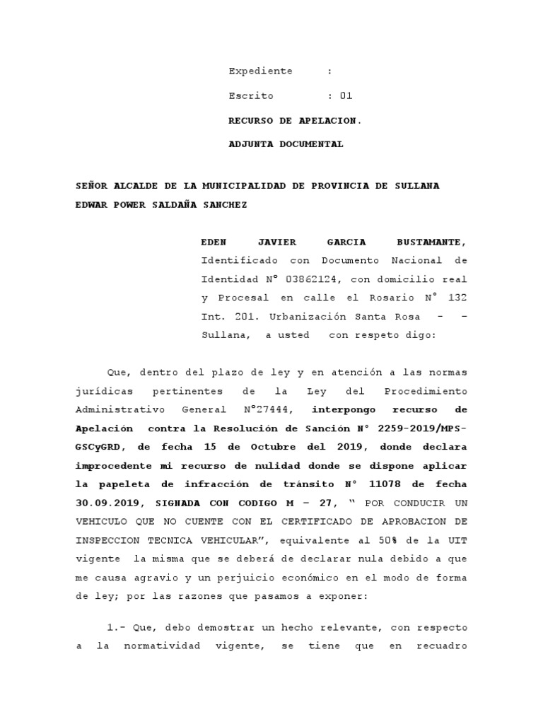 Recurso de Apelacion Garcia Bustamante | PDF | Nulo (ley) | Ley común