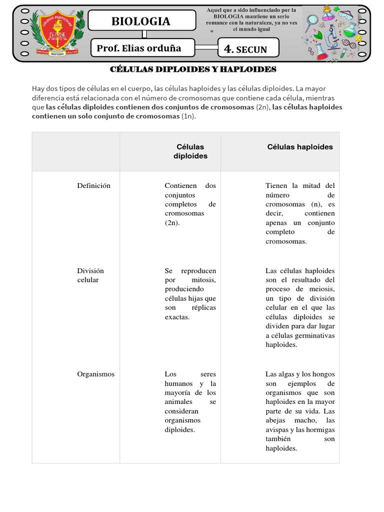 Celulas Haploides | PDF | Ploidía | Mitosis