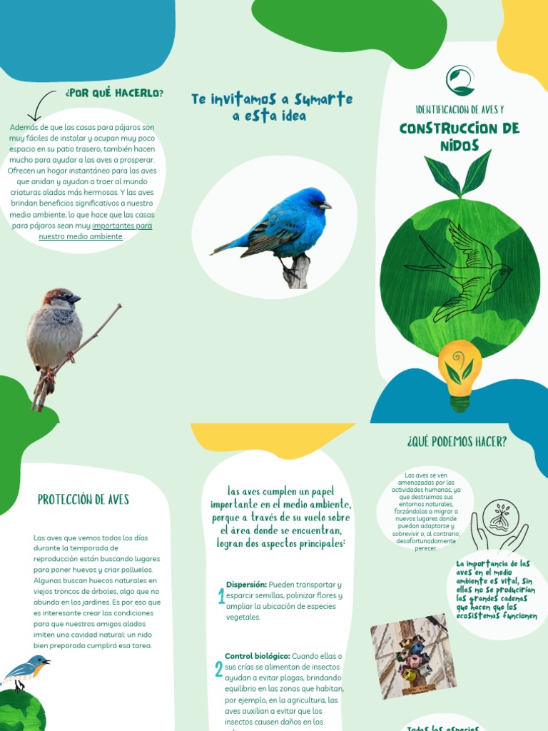 Tríptico Cambio Climático Orgánico Verde | PDF | Aves | Entorno natural Tríptico Cambio Climático Orgánico Verde | PDF | Aves | Entorno natural