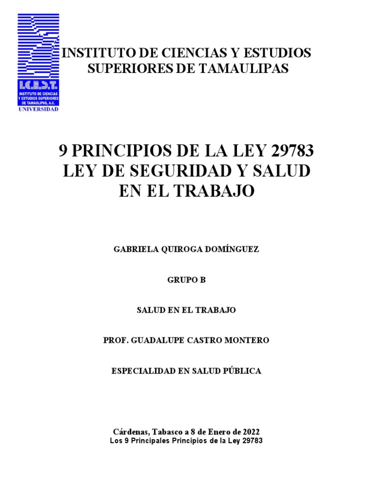 9 Principios Ley 29783 | PDF | Seguridad y salud ocupacional | Derecho laboral