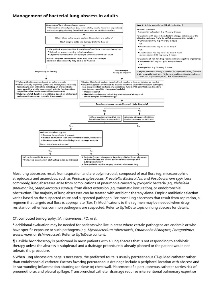 Lung Abscess Management Guidelines | PDF