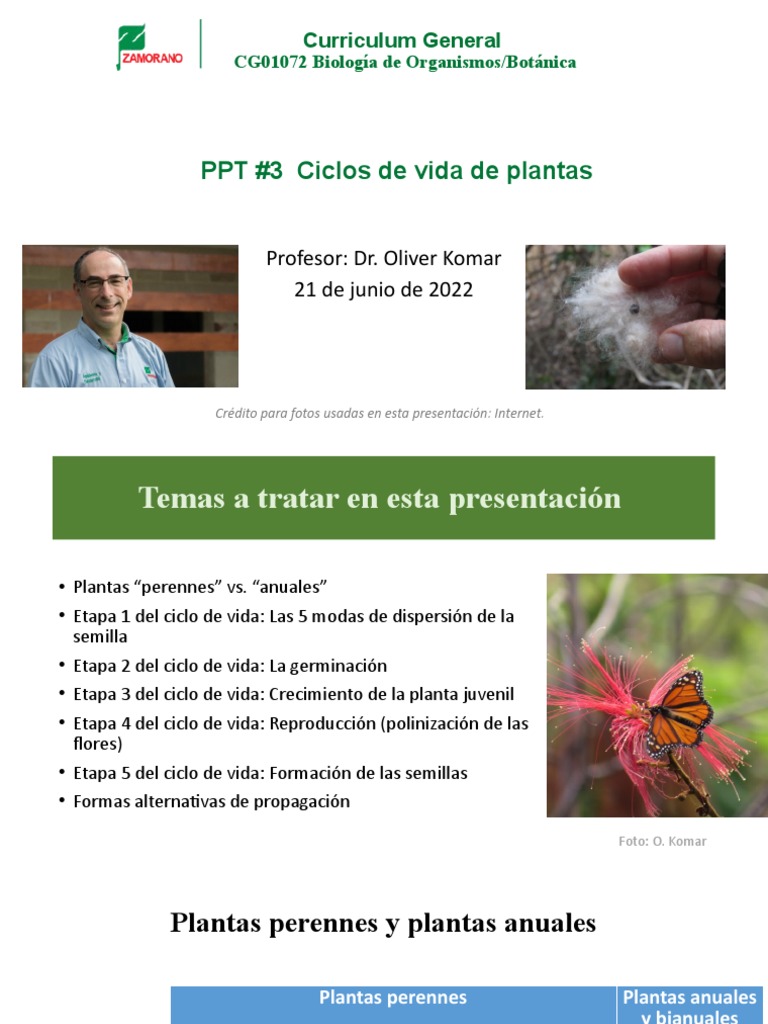 Bot2023 PPT 3 Ciclos de Vida | PDF | Semilla | Flores