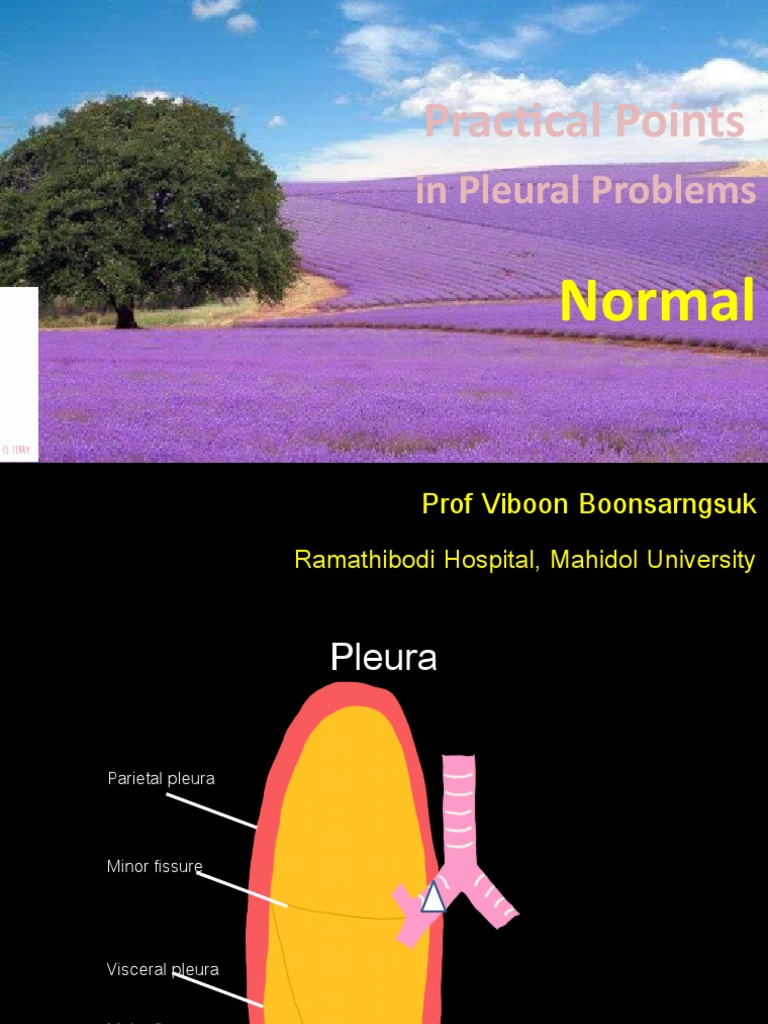 Understanding Pleural Problems and Effusions | PDF | Respiratory System | Clinical Medicine