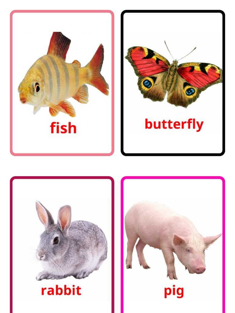 Mga Prutas - Fruits Tagalog Flashcards | PDF