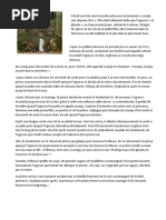 Aicha Kandicha : Légende et Folklore Marocain | PDF | Histoire