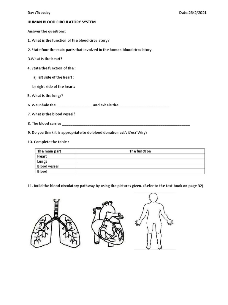 Blood Circulatory System | PDF
