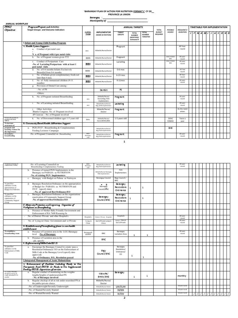 Ppan Plan | PDF | Malnutrition | Breastfeeding