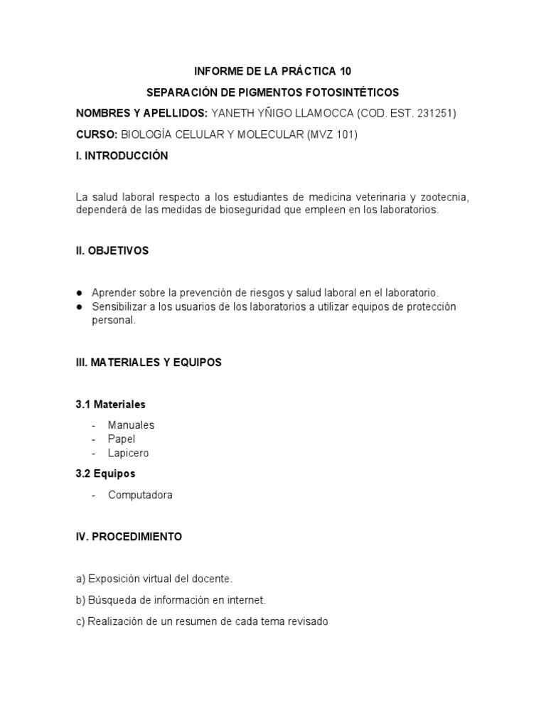 Modelo de Informe de Práctica | PDF