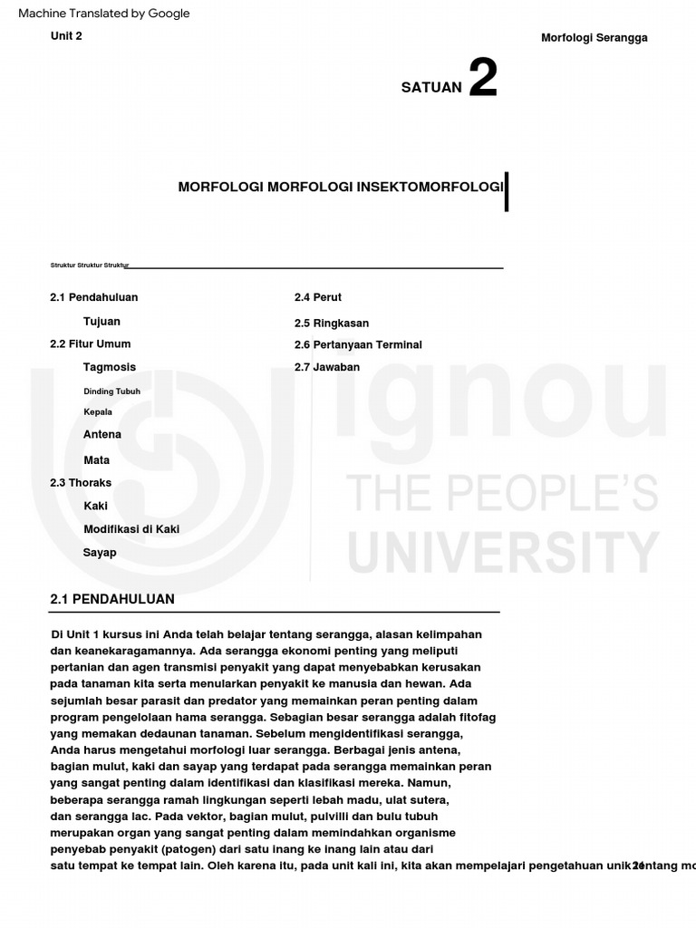 Unit 2 | PDF