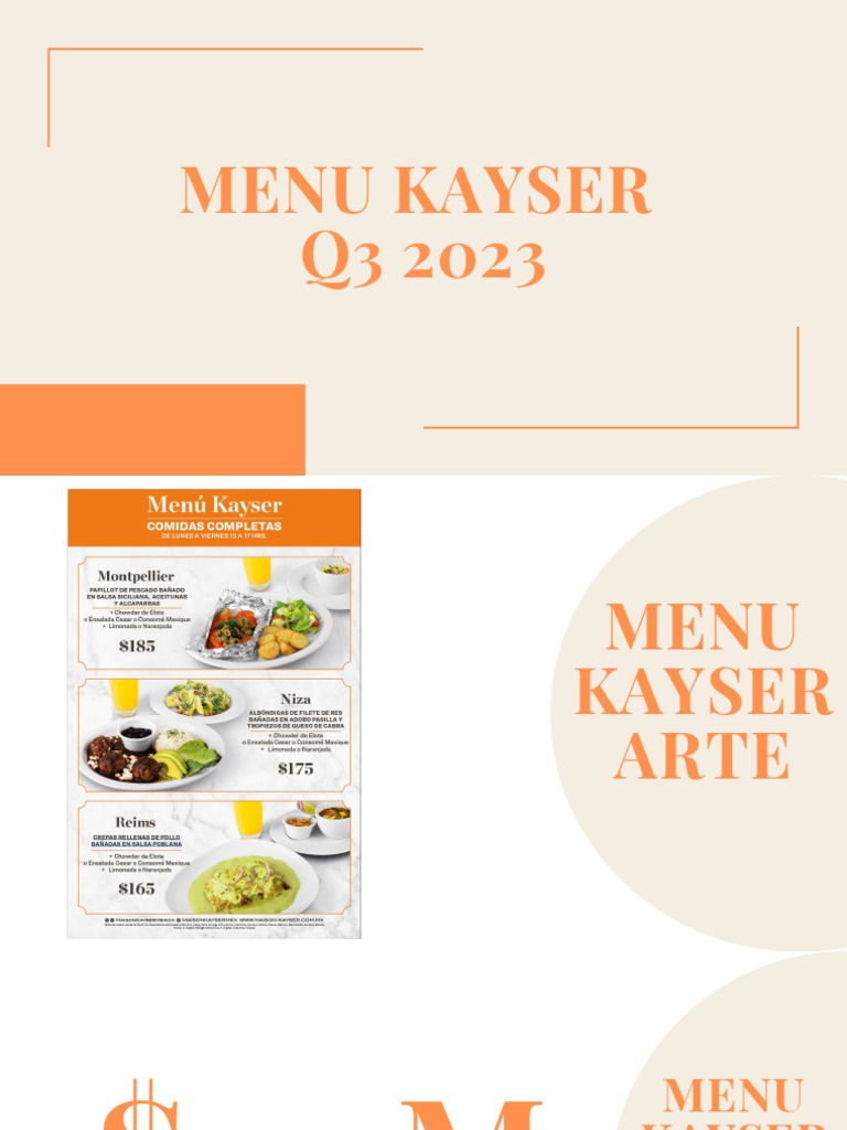 Guía Rapida Menu Kayser Q3 | PDF