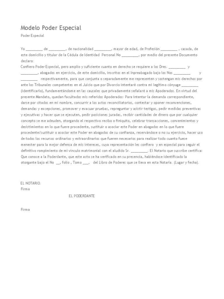 Modelo Poder Especial | PDF