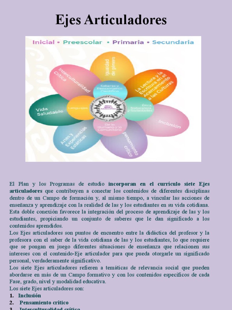 Ejes Articuladores Y Campos | PDF | Enseñando | Plan de estudios