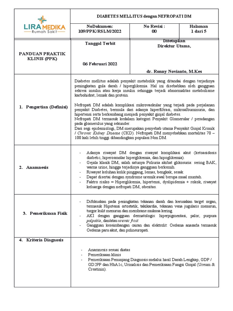 PPK DM Dengan Nefropati DM | PDF