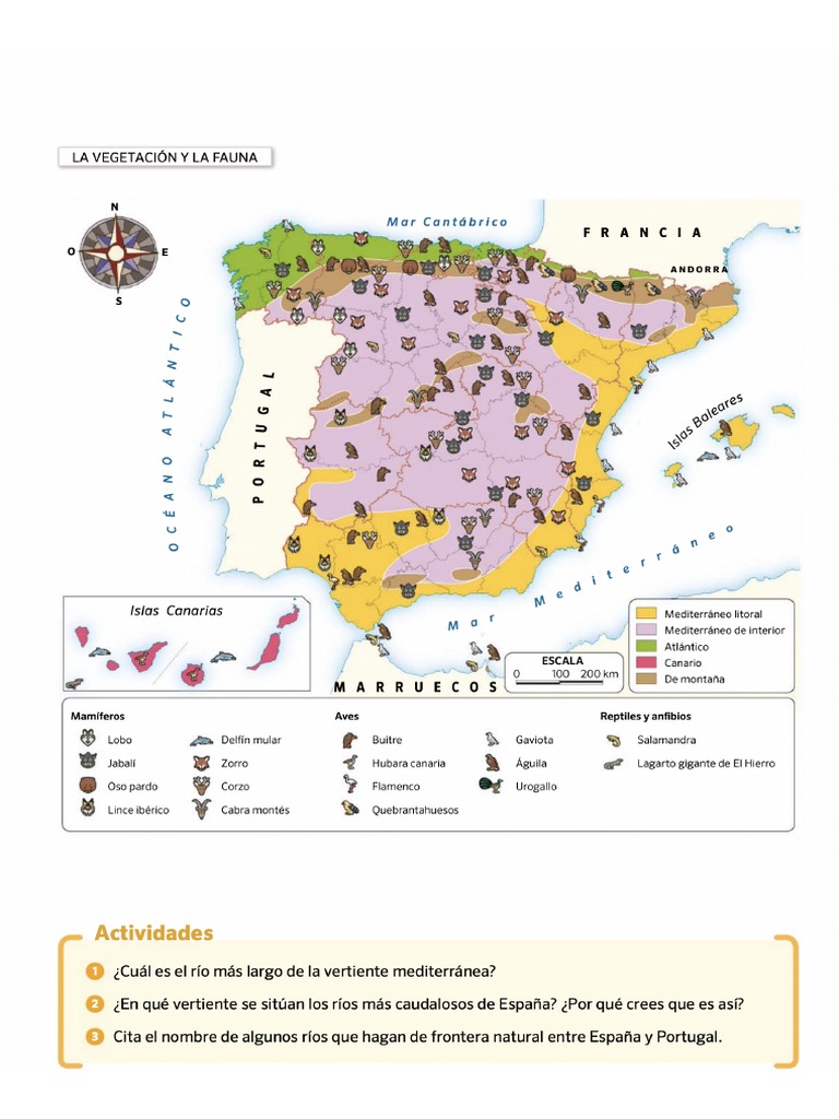 MAPA VEGETACION Y FAUNA ESPAÑA | PDF