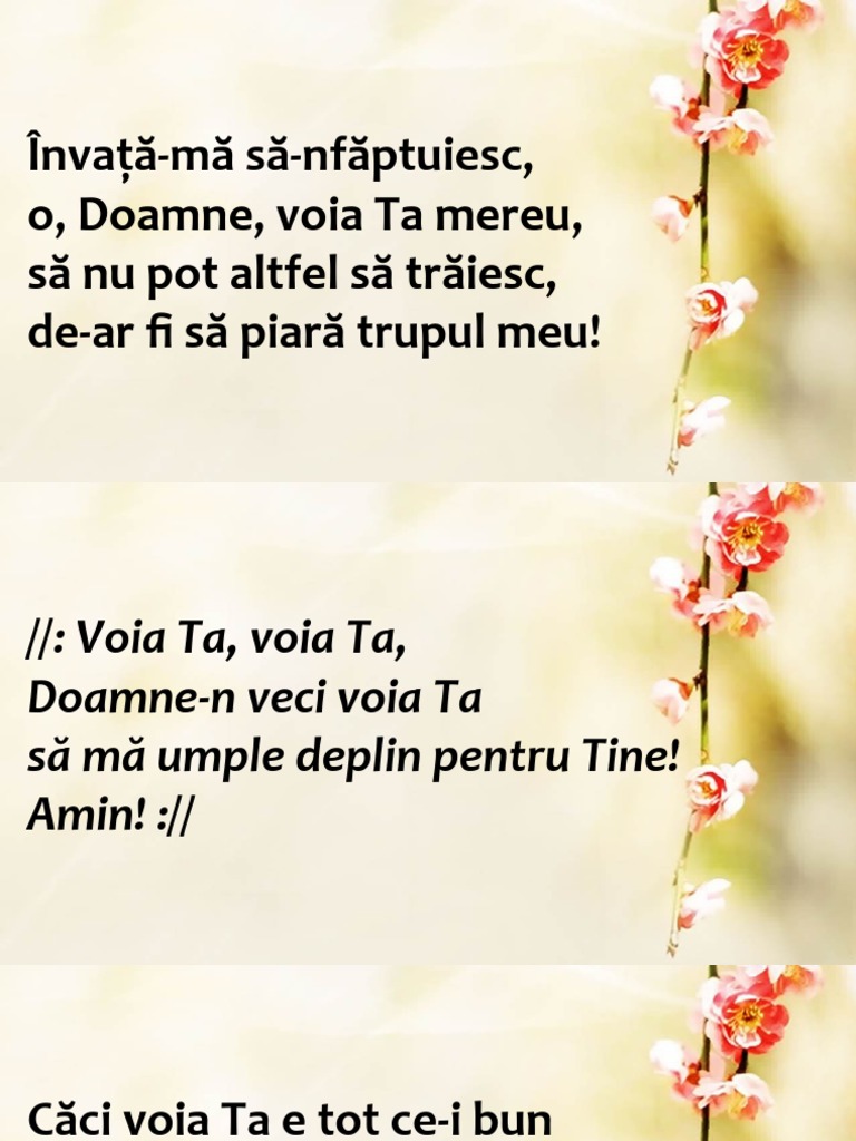 Invata-Ma Sa Nfaptuiesc | PDF