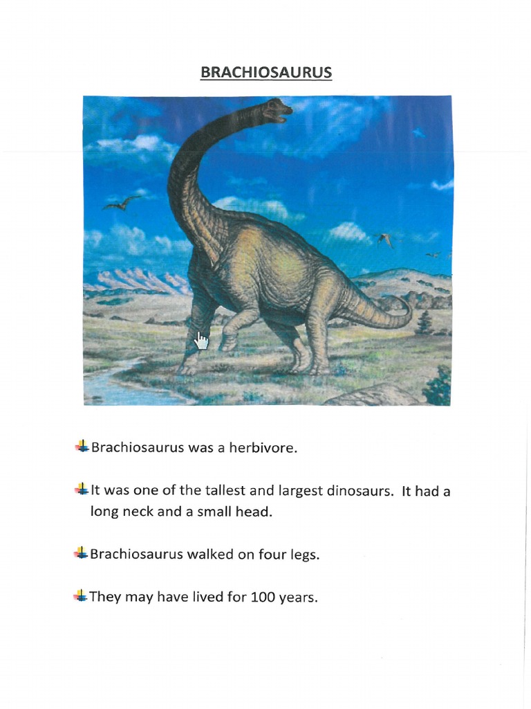 Brachiosaurus | PDF