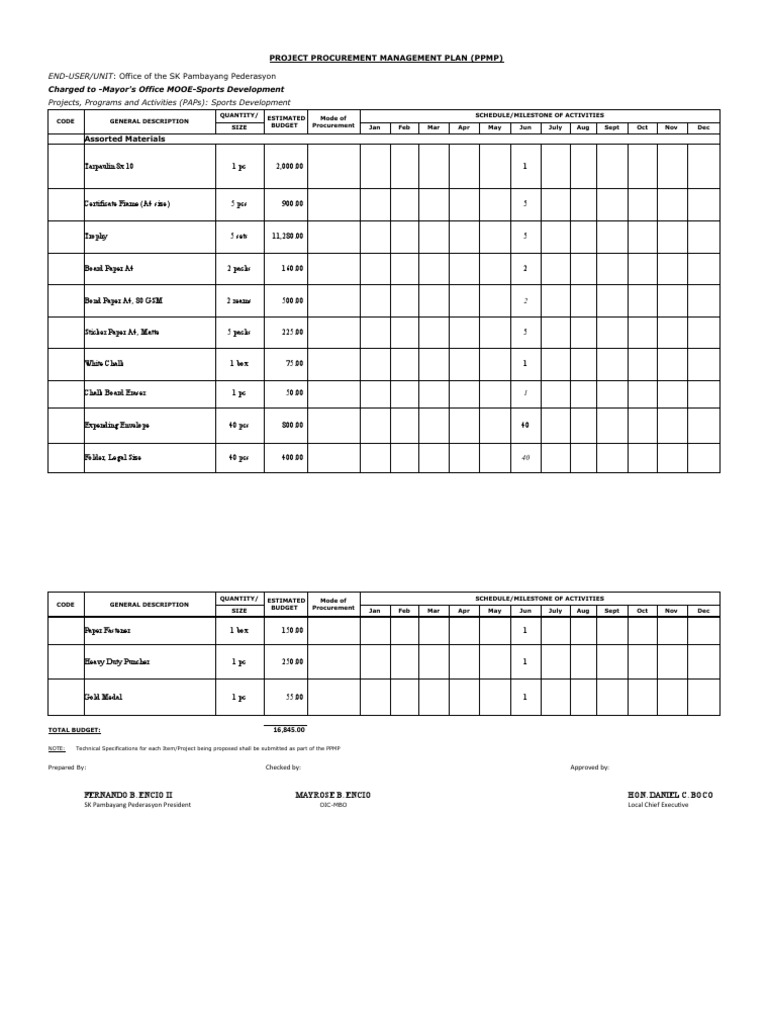 2015 PPMP Format | PDF
