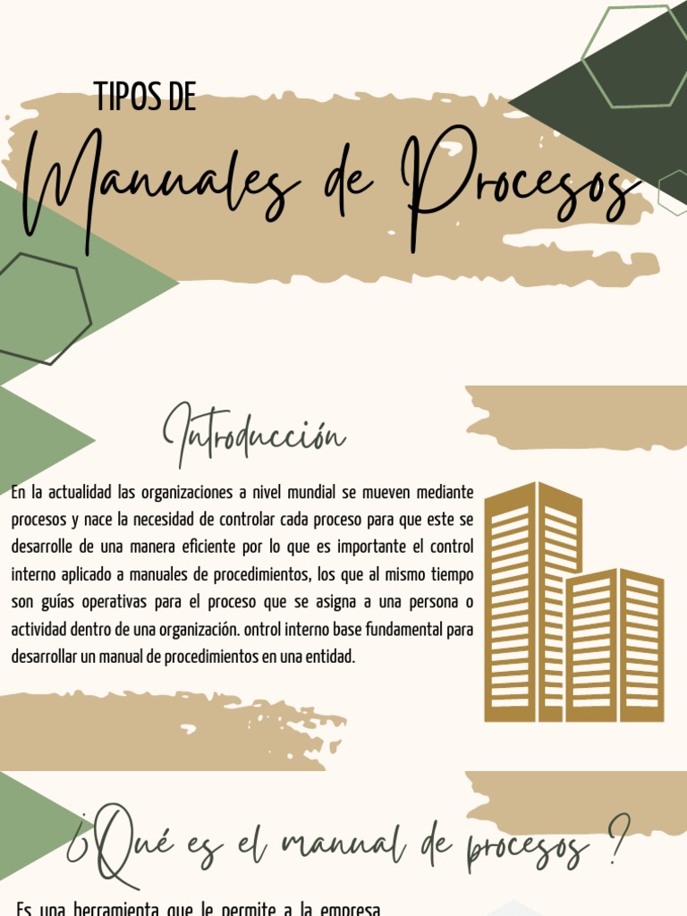 Tipos de Manuales de Procesos | PDF | Calidad (comercial) | Información