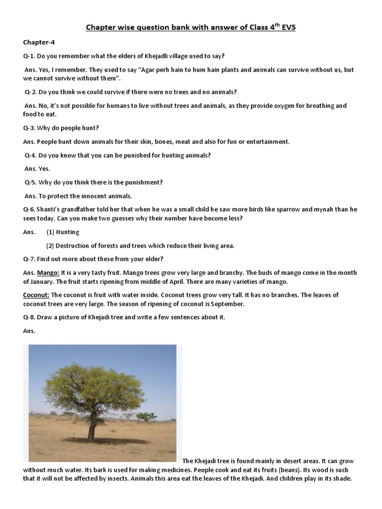 Class 4th EVS Questions Bank For LAT | PDF | Honey Bee | Beekeeping