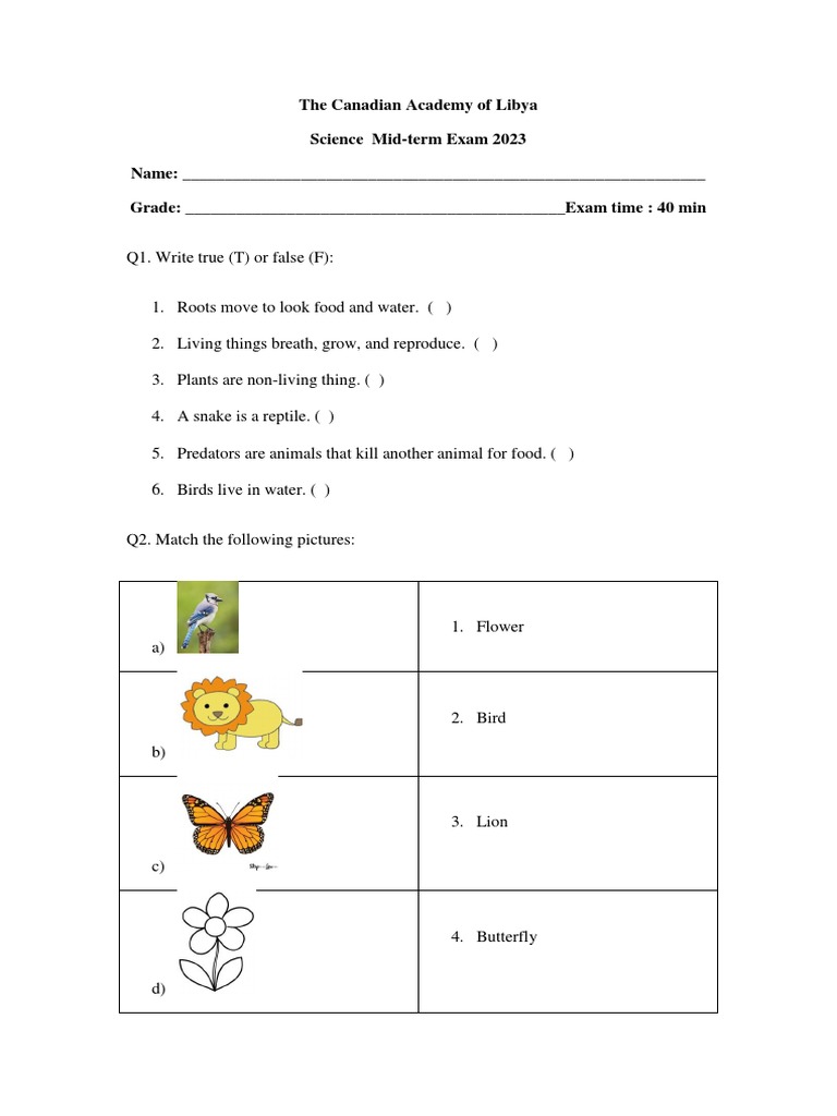 Grade 2 Science Midterem Exam, Edit 1 | PDF | Language Arts ...
